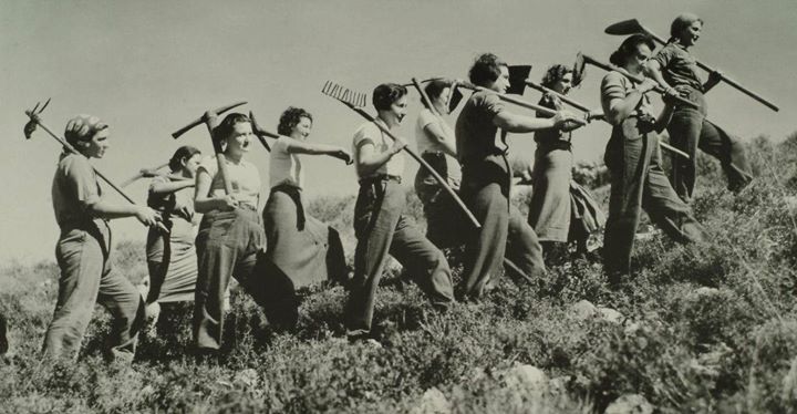 Le Kibboutz, un rêve israélien I Festival des Cultures Juives - Luminor ...