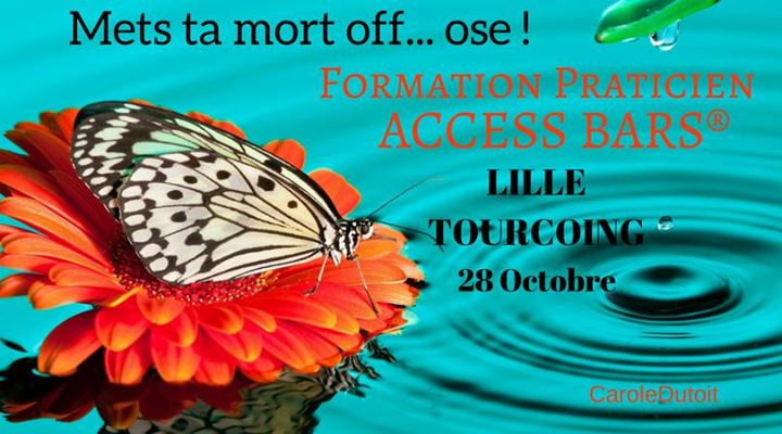 Formation Certifiante Praticien Access Bars® LILLE - Etre Et Renaître En Conscience - By Night