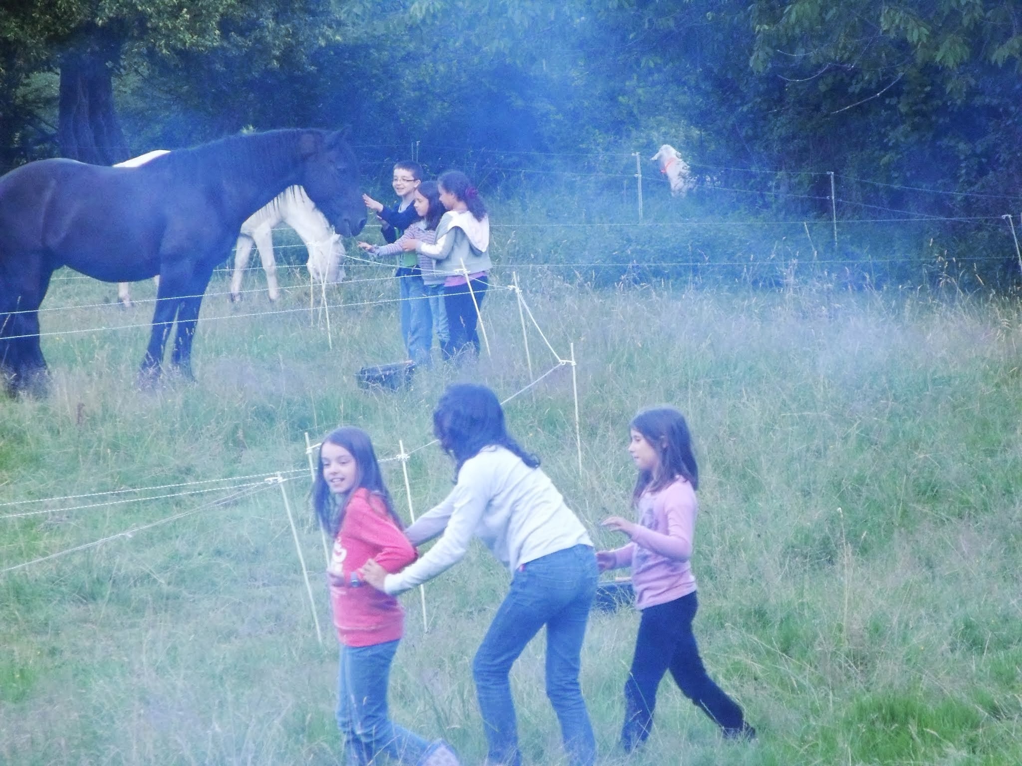 "En passant par la Loire" Festival de Théâtre de Création du Loir-et ...