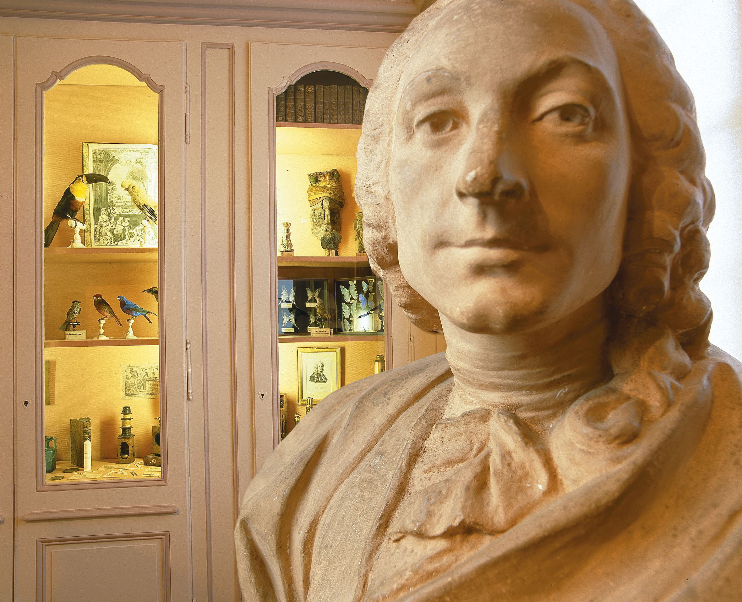 Animation jeune public : atelier cabinet de curiosités - Musée Flaubert ...