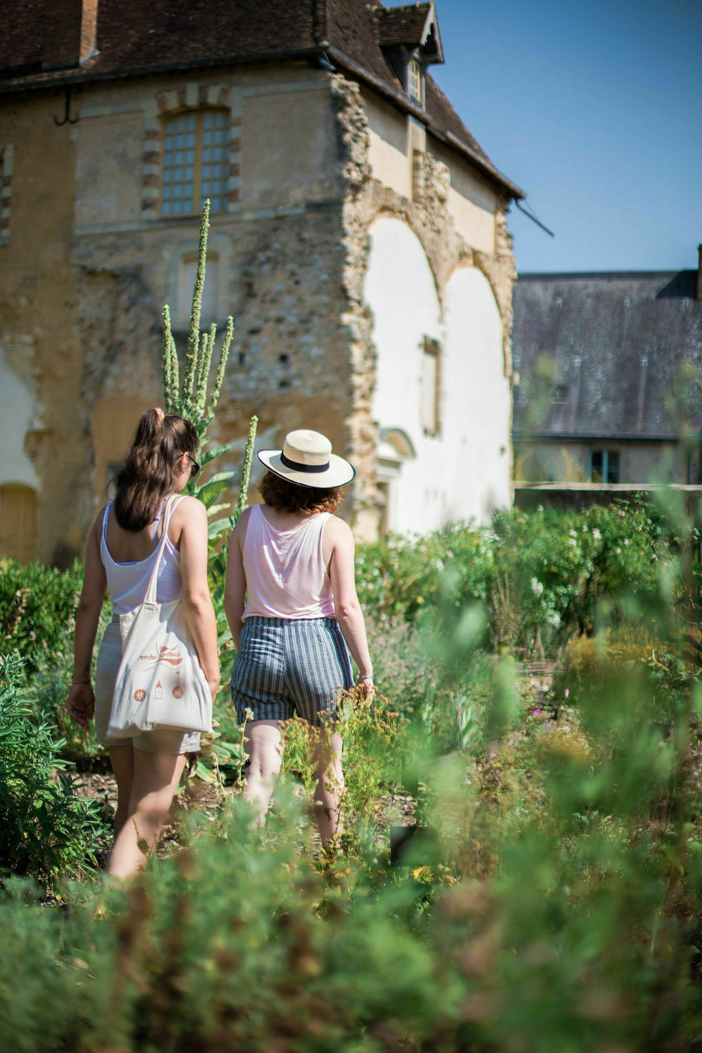 Animation l’abbaye de Tuffé et ses jardins : un patrimoine vivant ...