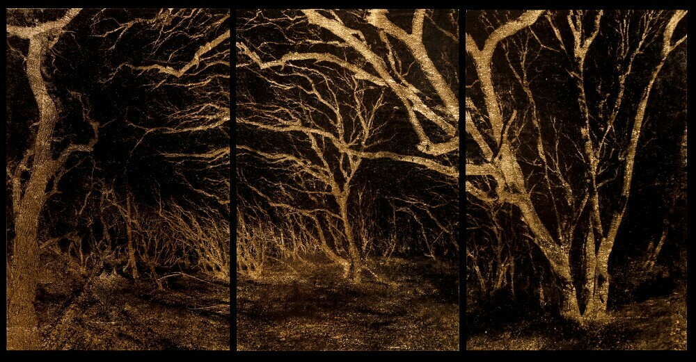 Éric Bottero et Gopal Amah - Galerie Vallois - By Night