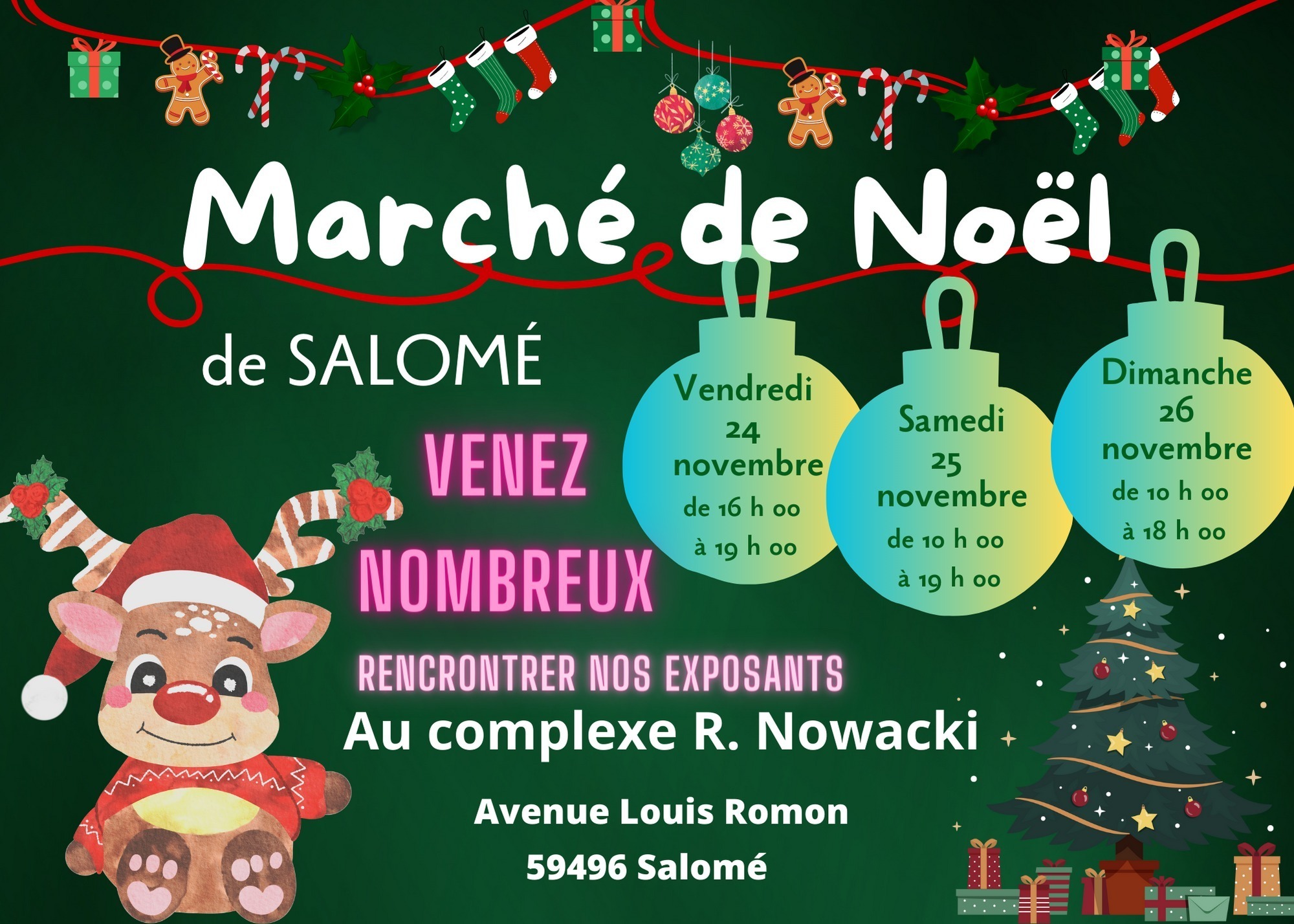 Marché de Noel de Salomé - 2023 - Complexe Raymond Nowacki - By Night