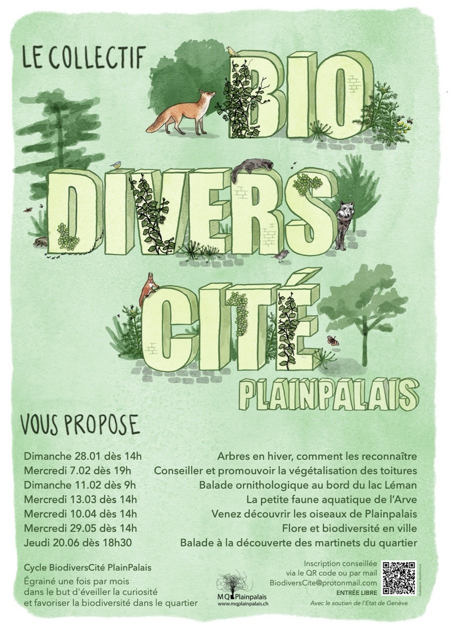 Donnons vie à nos toits ! - Autre Lieu - By Night