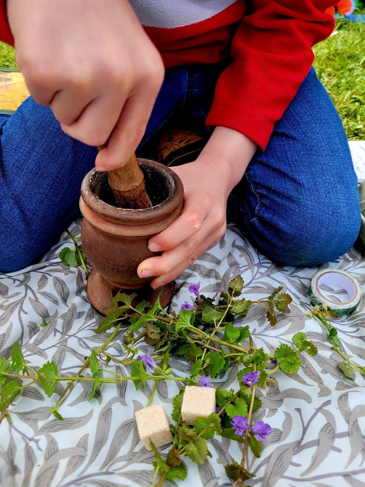 Stage Nature & Montessori, Paris 14e - du 29/6 au 3/7 puis 6 au 10/7/26 ...